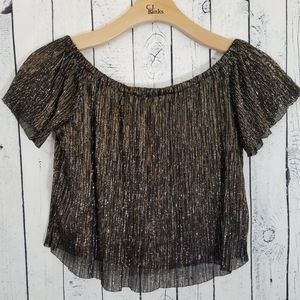 Zara | Tops | Zara Sparkle Metallic Crop Top | Poshmark